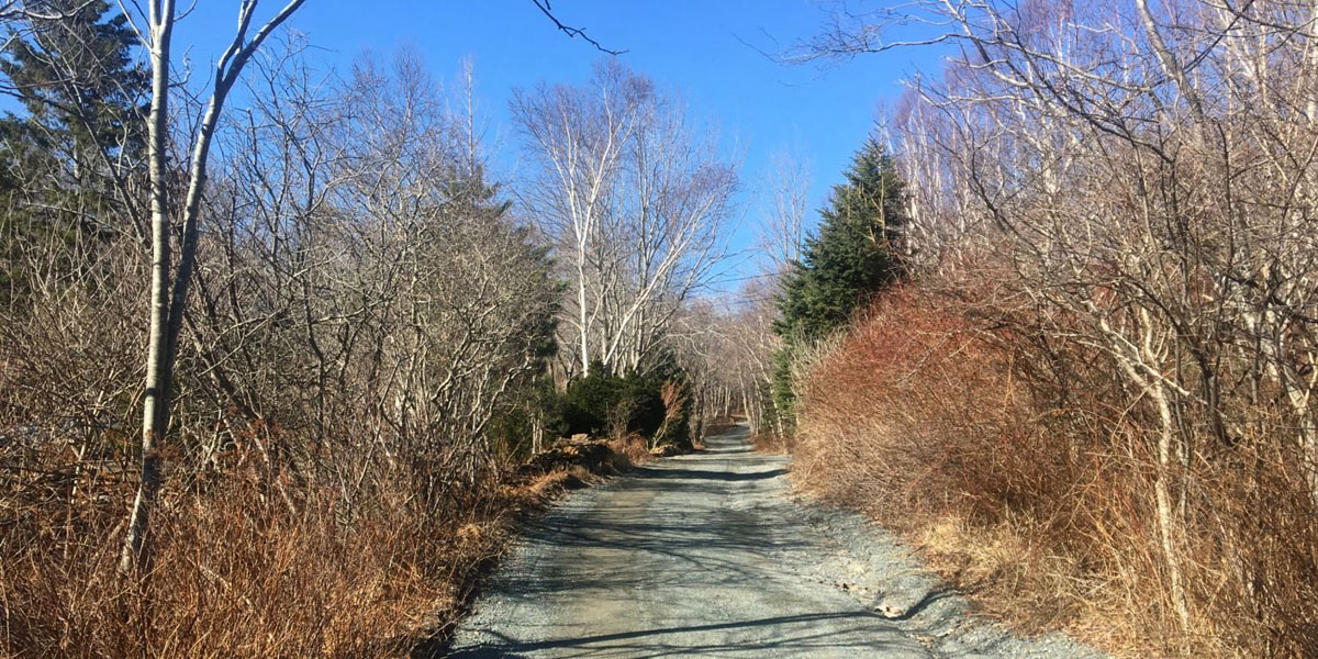 Spring in the Cove: One | Noticed in Nova Scotia